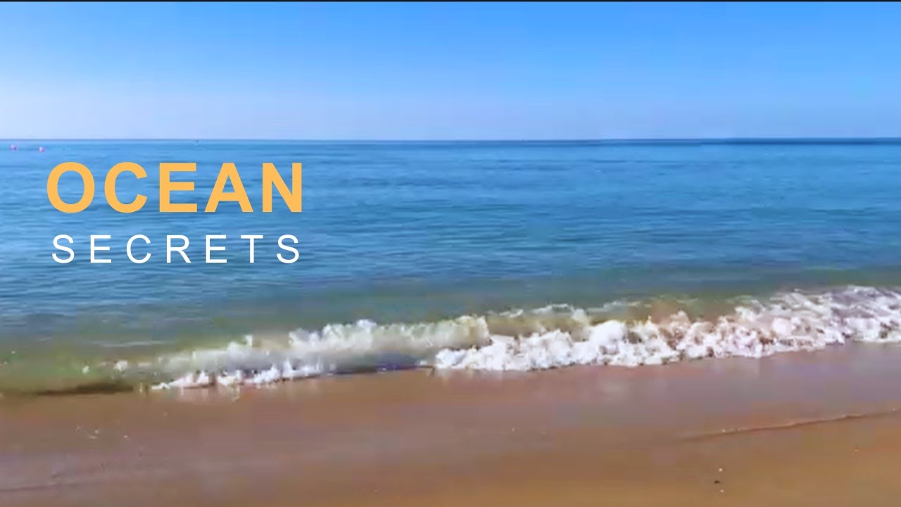RELAXING Morning by the SEA | CALMING WAVES for Studying, Yoga or ...