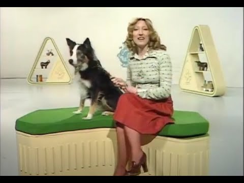 Blue Peter, 16th Feb. 1978, BBC1 featuring ABBA (incomplete) - YouTube