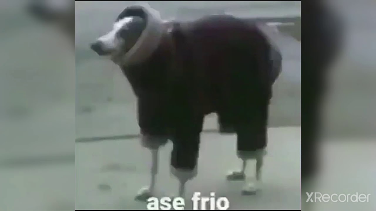 ase frío - YouTube