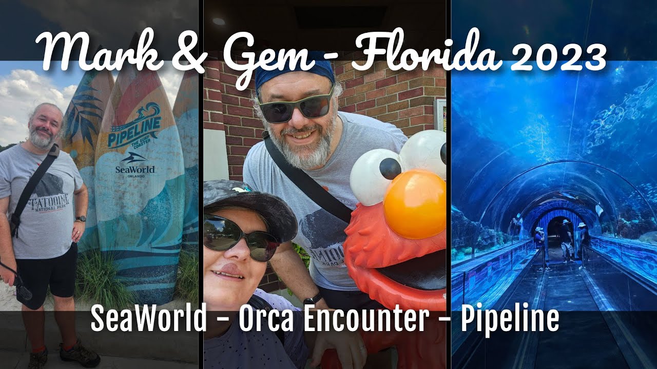 Riding Pipeline at SeaWorld - Florida September 2023 - YouTube