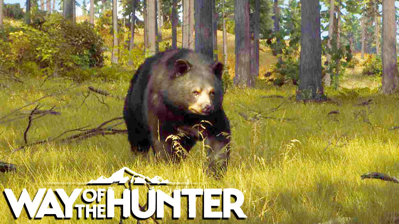 BEAR HUNTING SIMULATOR - Surviving the NEW Ultra Realistic Open-World ...