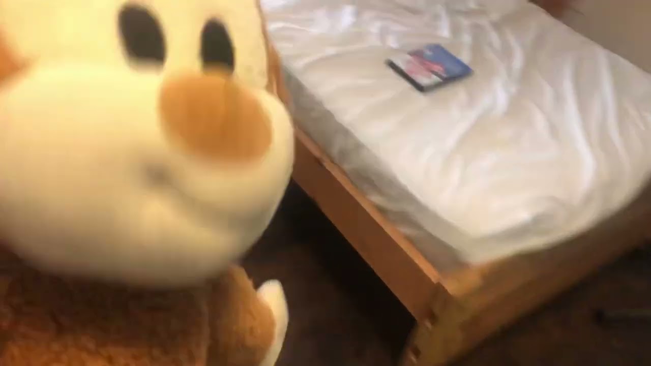 Dave The Monkey Watches The MGM DVD 2003 Logo - YouTube