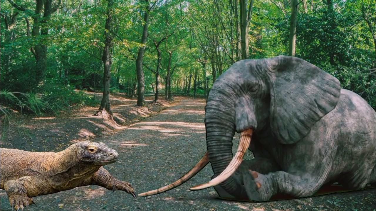 Elephant and Komodo Dragon - A Remarkable Jungle Encounter. - YouTube