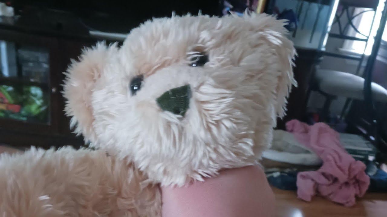 random bear edit #robloxbear - YouTube