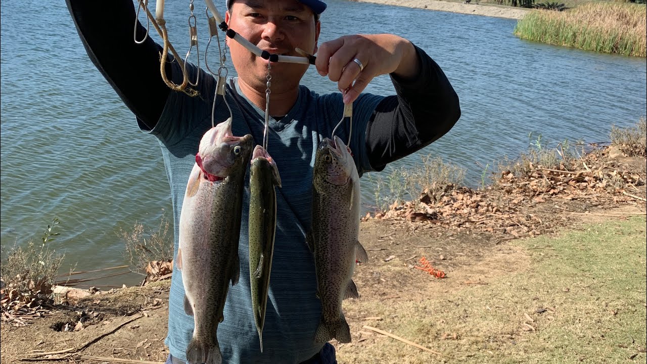 Prado Regional park trout fishing - YouTube