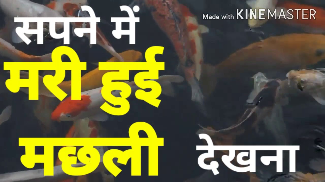 सपने में मरी हुई मछली देखना / Sapne me mari hui machli dekhna / Dead ...