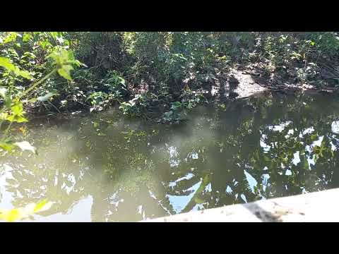 mancing di kali mungil