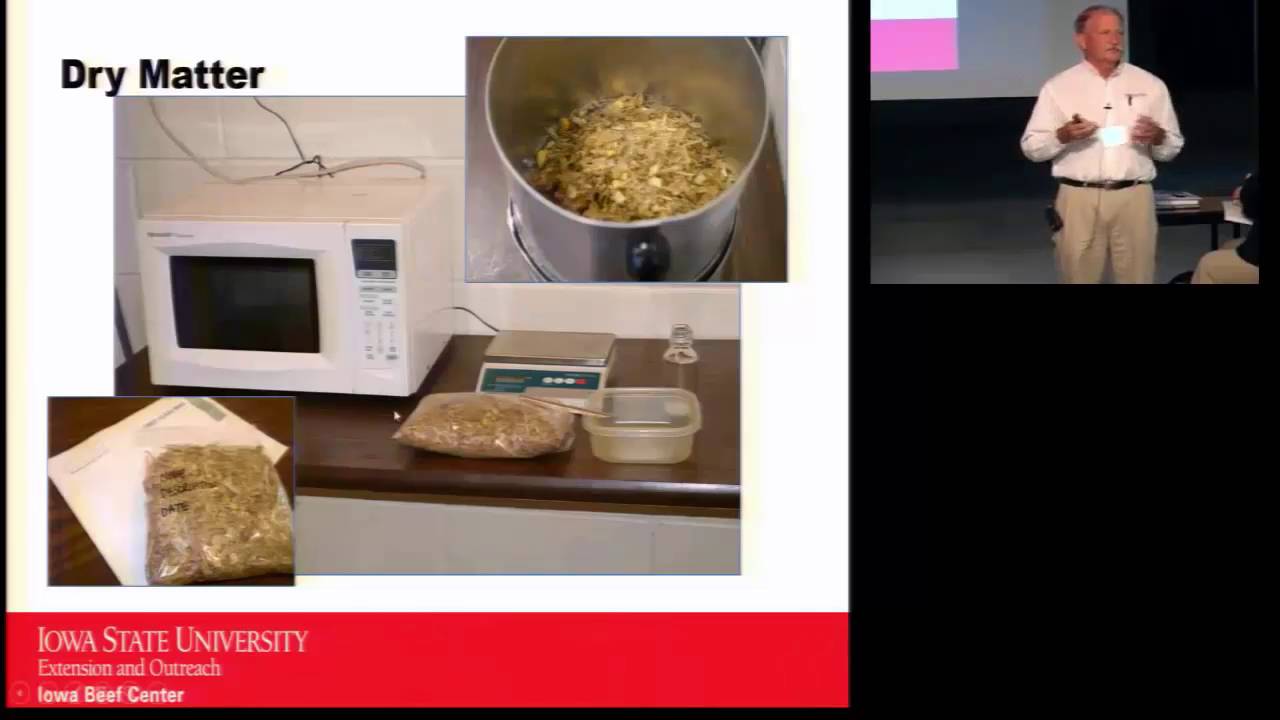 Evaluation of silages, and what a feed test means for good vs bad ...