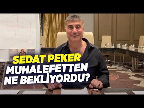 Sedat Peker'e Muhalefetten Ne Bekliyordu? | Ersan Barkın | Asıl Mesele