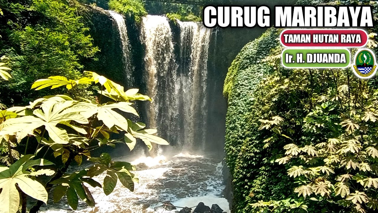 Wisata Maribaya Natural Waterfall || CURUG MARIBAYA LEMBANG - YouTube