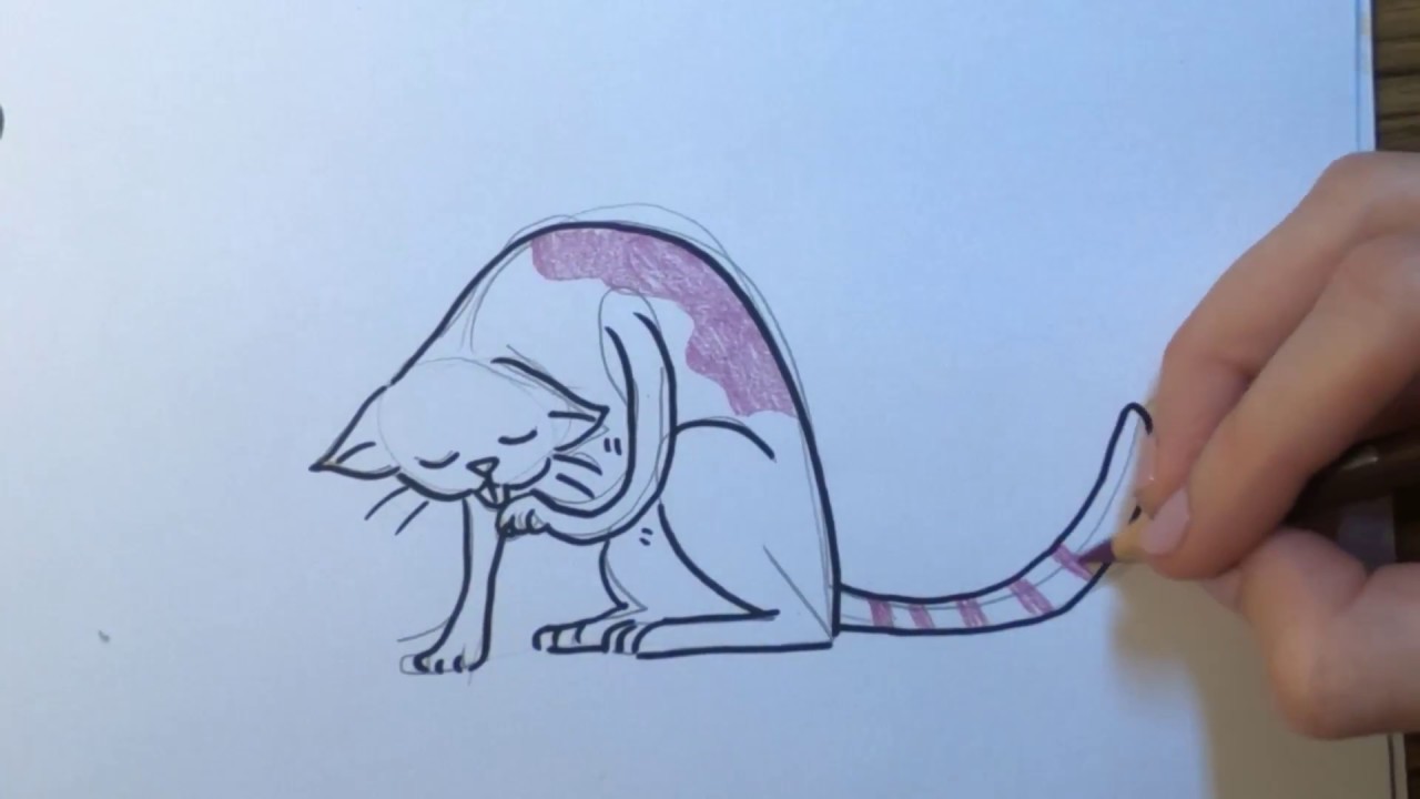 How to draw a cat cleaning itself - YouTube