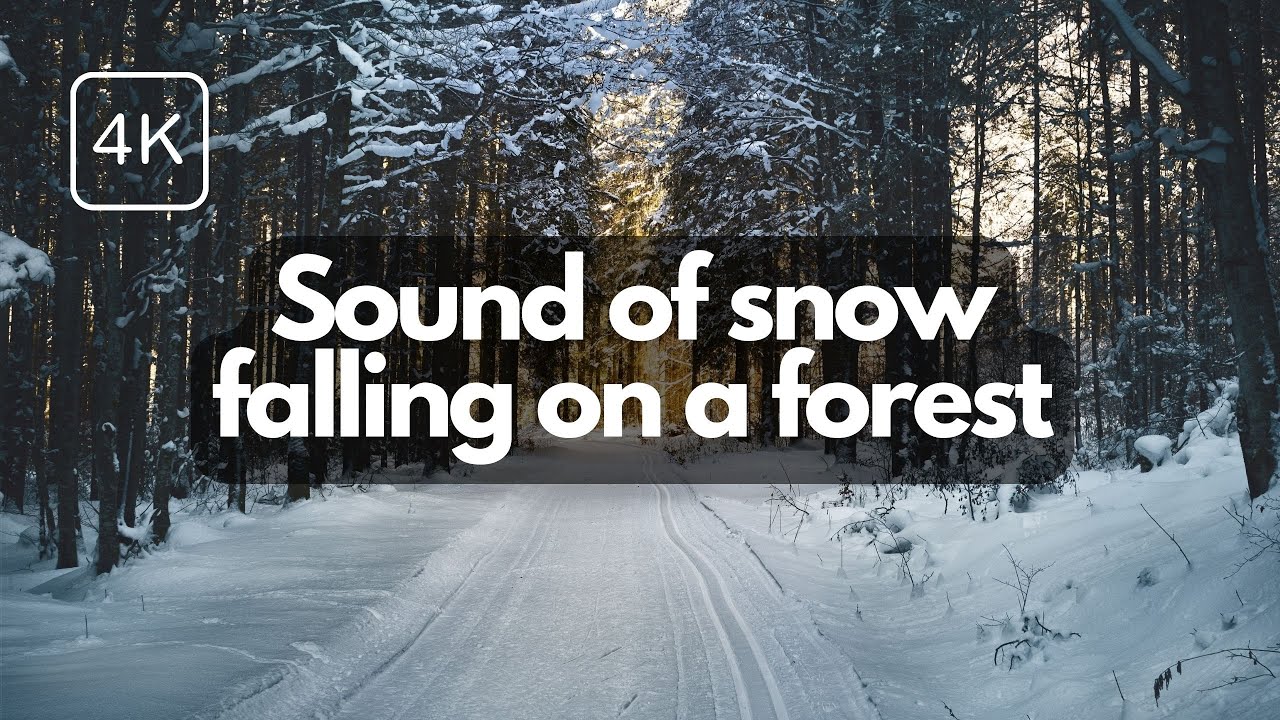 Sound of snow falling on a forest - Relaxing, Sleeping, Meditation ...
