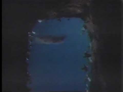 1989 Showtime Nightmare Classics Logo - YouTube