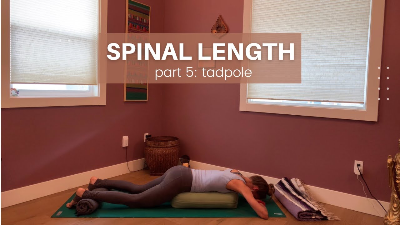 Spinal Length (part 5) - YouTube
