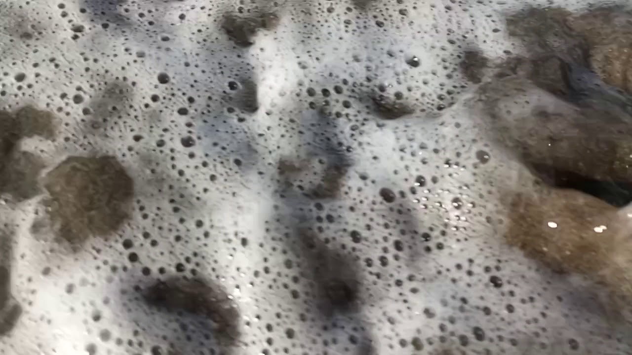 Amphibia Scuba Dude Playa Cavancha Iquique Chile 17/11/2017 - YouTube