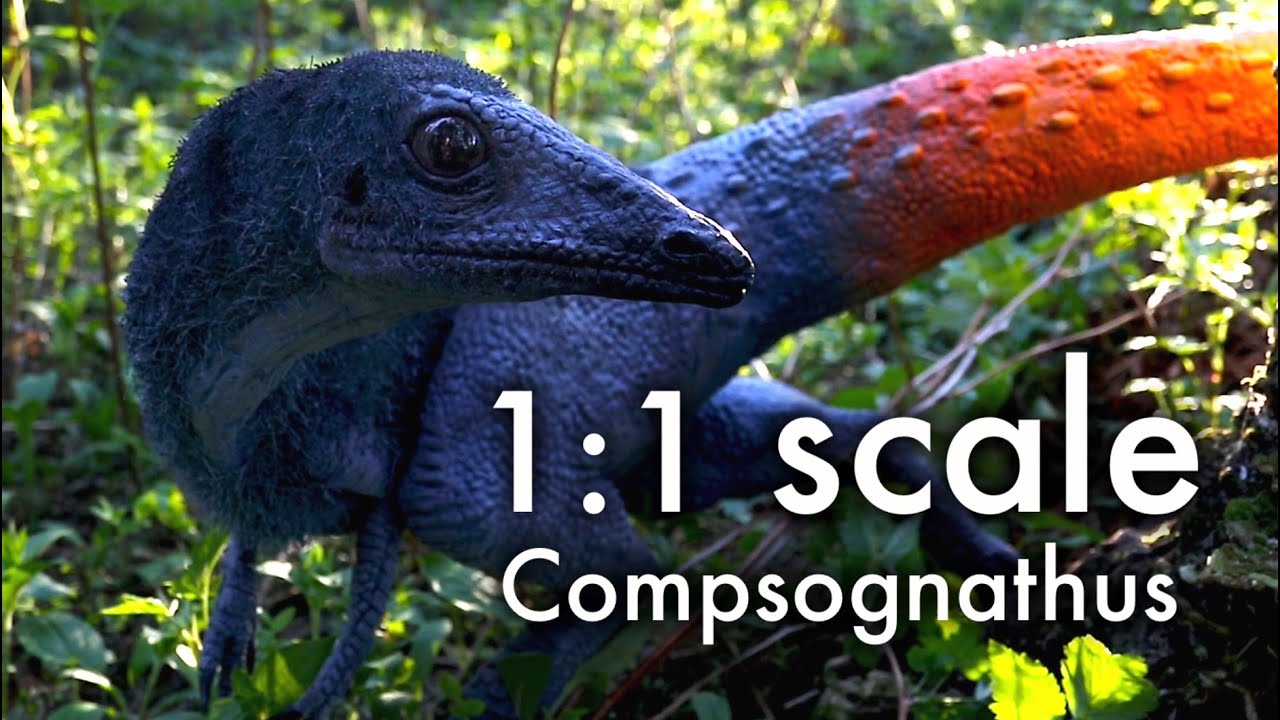 Making of life size Compsognathus dinosaur - YouTube