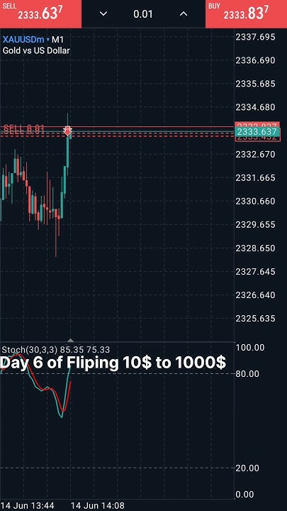 Day 6: Turning $10 into $1000 with Forex Trading –Patience and Strategy ...