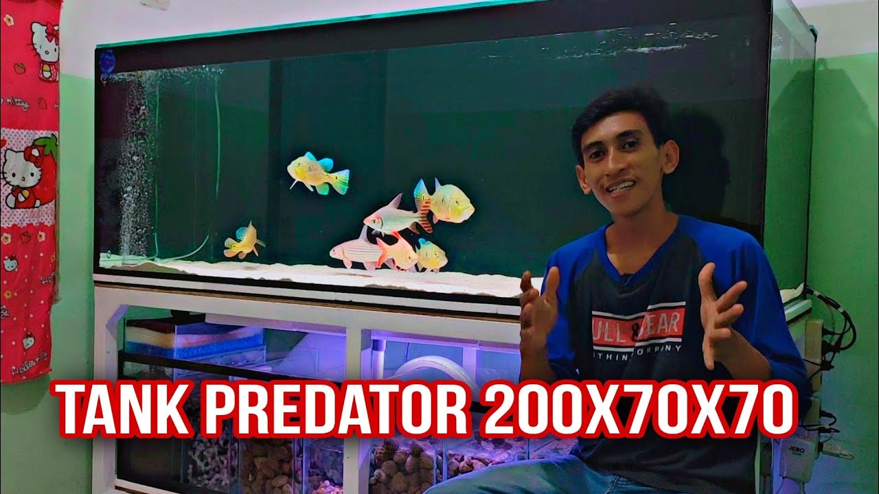 Harga dan Spek Tank Predator 200x70x70 full 12 ml Asahi mas Gosok Halus ...