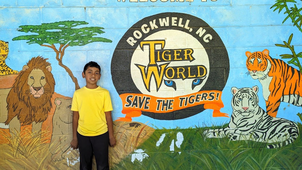 Tiger World, Live feeding cheetah, Rockwell, NC. - YouTube