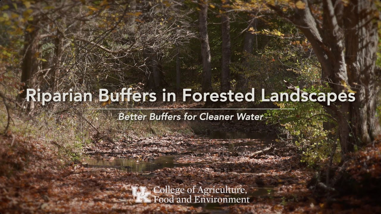 Riparian Buffers in Forested Landscapes - Better Buffers for Cleaner ...