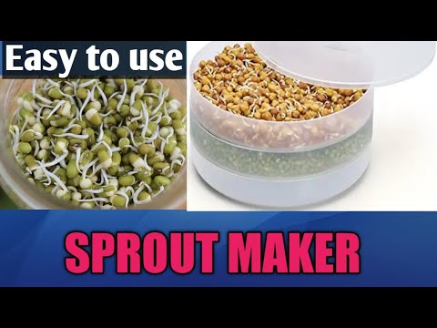 How to use a sprout maker || Easily make sprouts at home - YouTube