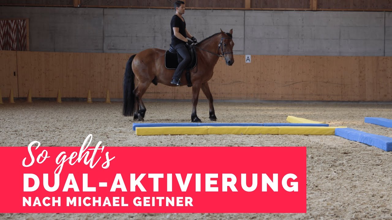 Dual-Aktivierung nach Michael Geitner - das musst du wissen - YouTube