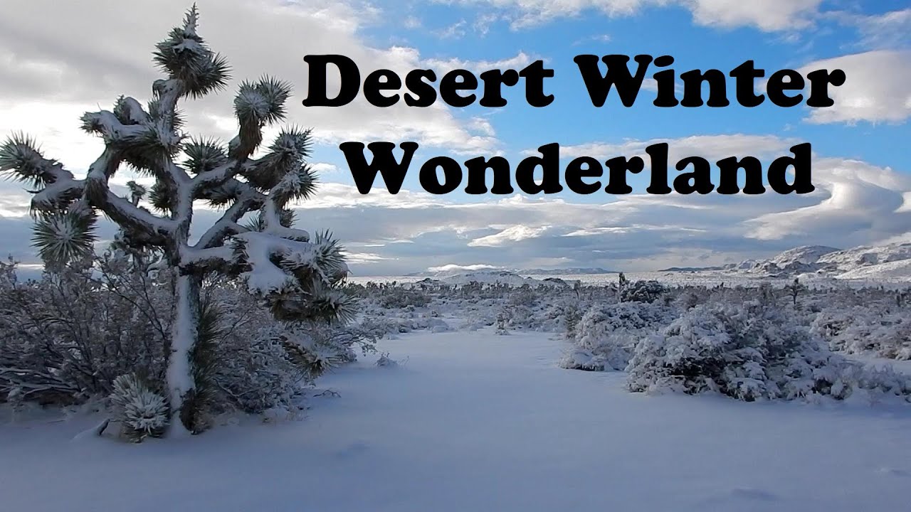 Beautiful Desert Snow Makes Winter Wonderland In Joshua Tree National ...