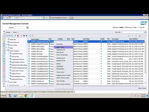 SAP BO Administration - Monitoring Server Status