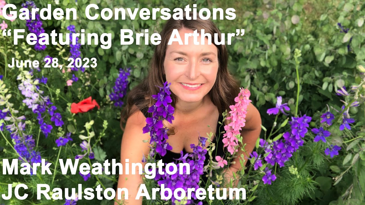 Garden Conversations - "Featuring Brie Arthur" - YouTube