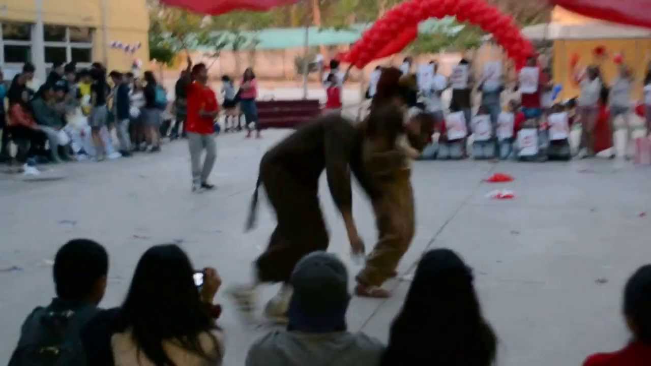 Mascota Dance - YouTube