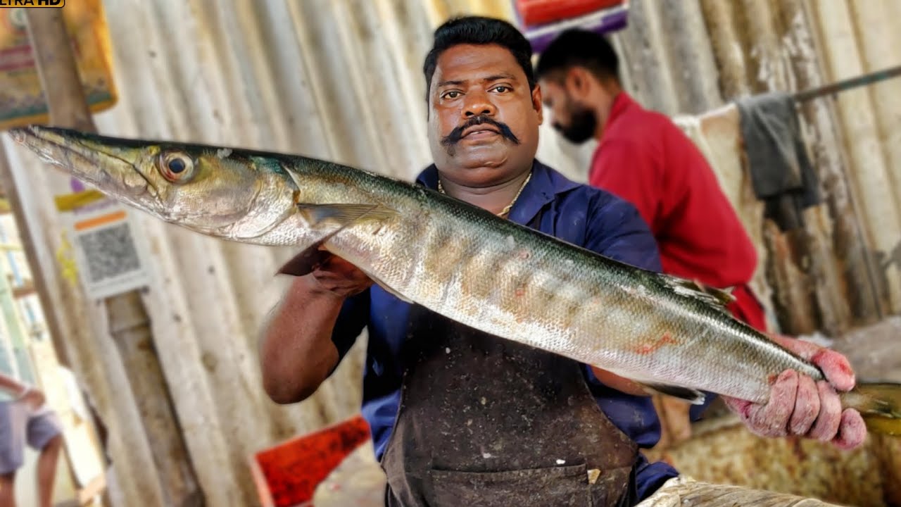 KASIMEDU SPEED SELVAM BARRACUDA FISH CUTTING VIDEO - YouTube