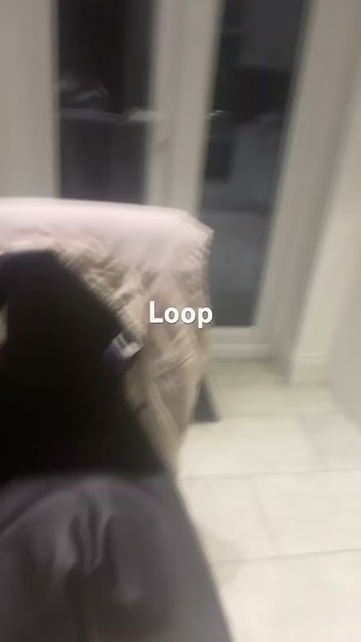 Good loop - YouTube