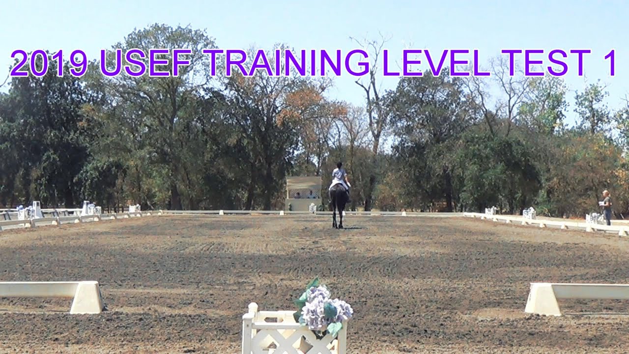 USEF Training Test 1 Raphael - YouTube