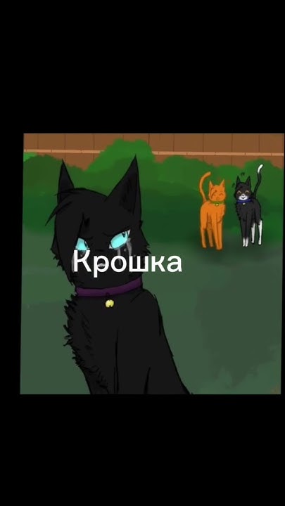 Коты воители эдит Бич Youtube