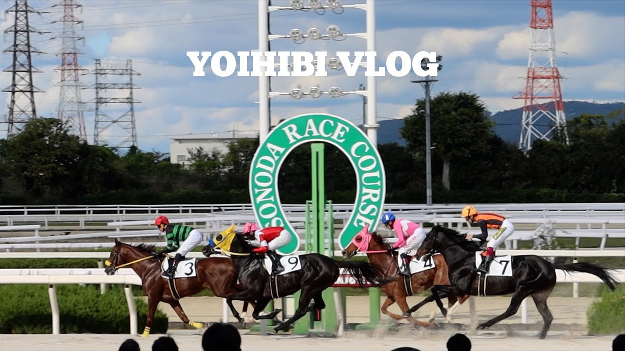 競馬初心者が競馬に挑戦🐎園田競馬場でスバラシイヒビを応援しよう! 【ヨイヒビvlog】 Youtube