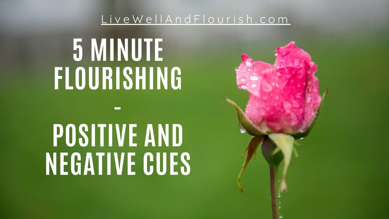 Positive and Negative Cues