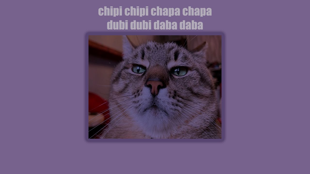 Chipi chipi chapa chapa dubi dubi daba daba (slowed + reverb & TikTok ...