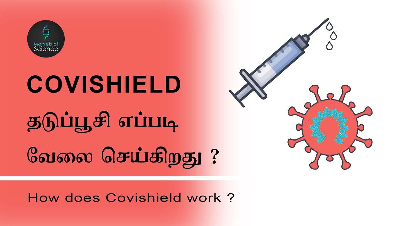COVISHIELD VACCINE எப்படி வேலை செய்கிறது ? | How does COVISHIELD ...