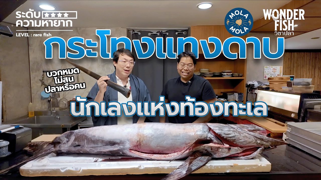 กระโทงแทงดาบ "ปลานักเลงแห่งท้องทะเล" #wonderfish #วิชาปลา - YouTube