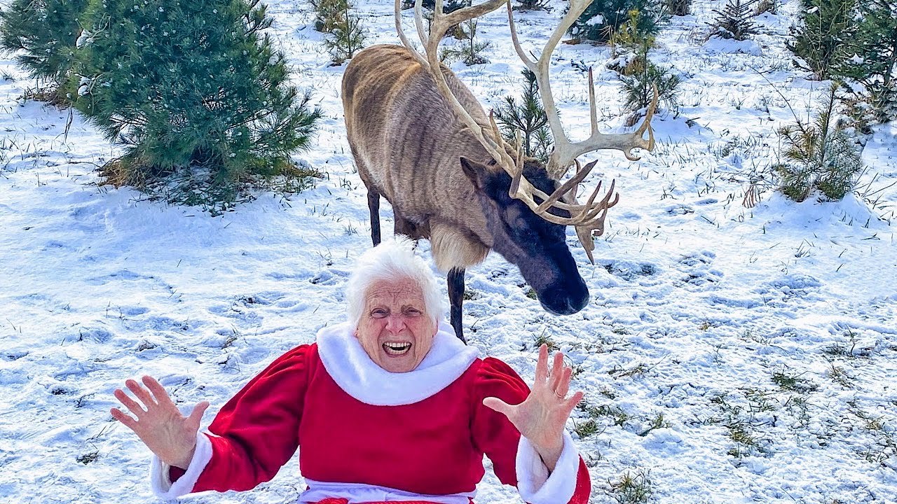 Grandma Gets Trampled By a Reindeer | Ross Smith - YouTube
