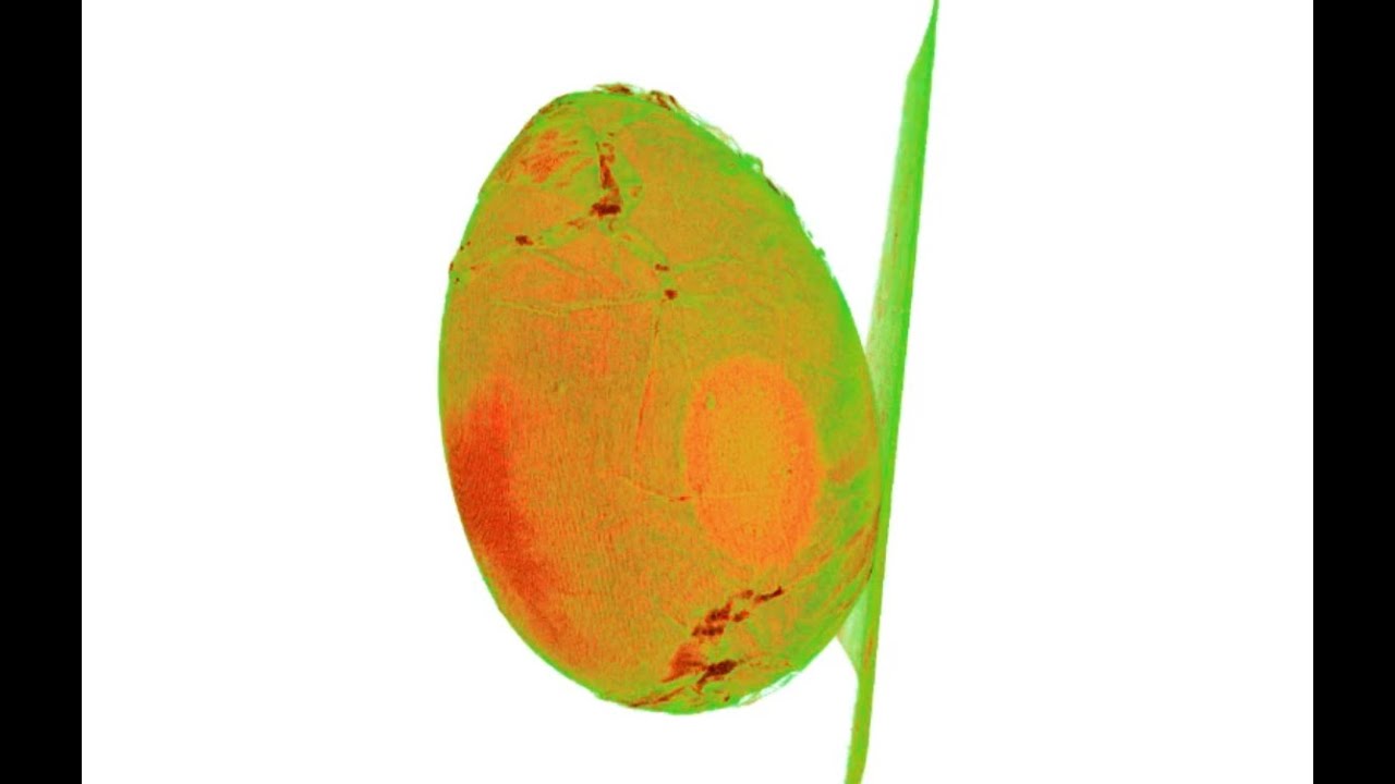 Что внутри шоколадного яйца? | Выясняем со Smart Tomo Engine 2.0 - YouTube