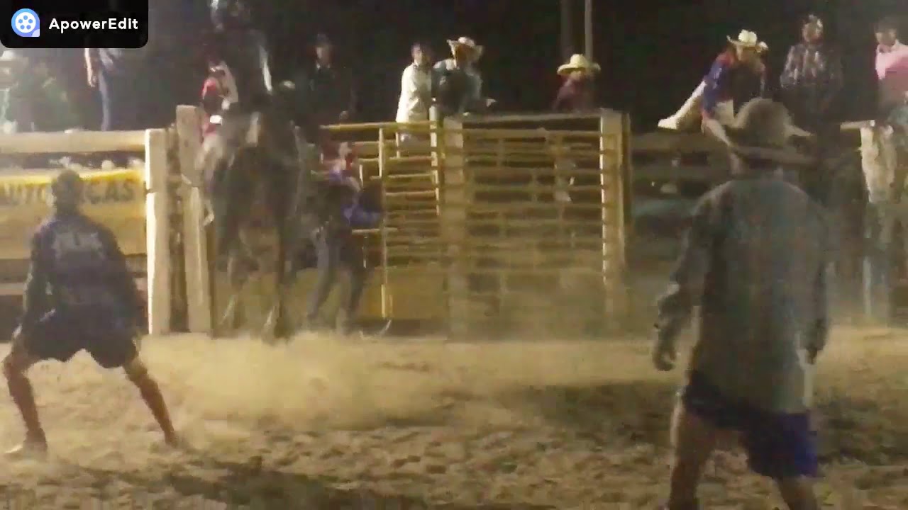 rodeio com boi nelore cruzado e caracu - YouTube