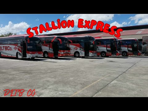 ALL NEW STALLION EXPRESS | DLTB CO. - YouTube
