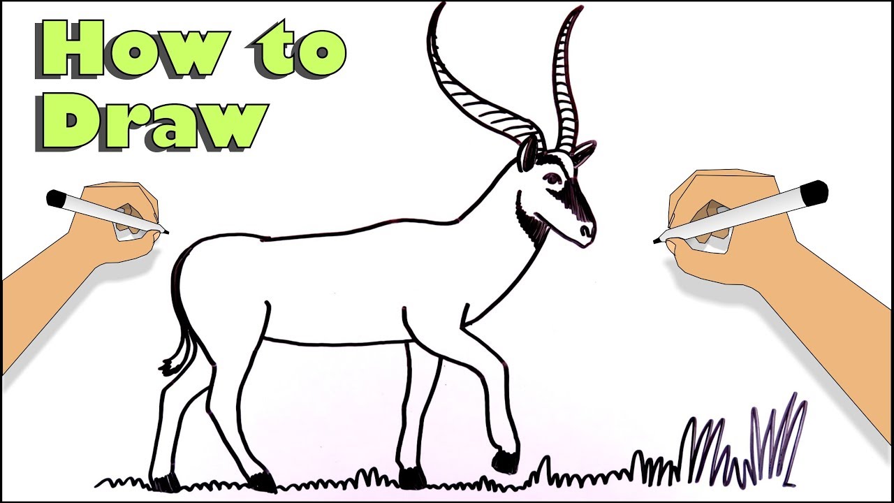 How to easily draw an African antilope - YouTube