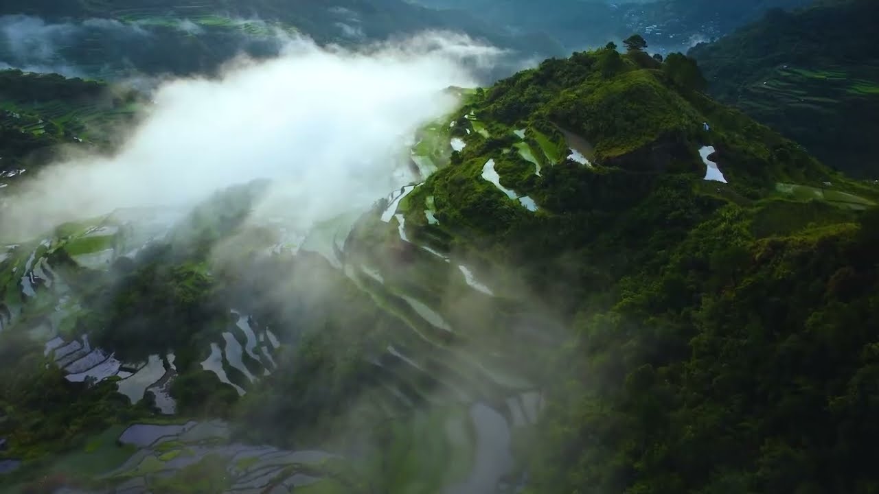 Aerial view of the beautiful RICE TERRACES of Belwang, Sadanga|Mt.Prov ...
