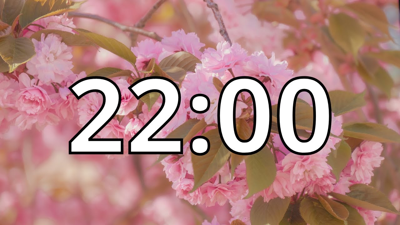22 Minutes Timer with Relaxing Music | Cherry Blossom Timer - YouTube