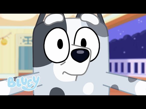 Bluey Σεζόν 1 πλήρη επεισόδια | Μπλούι – επίσημο κανάλι - Bluey