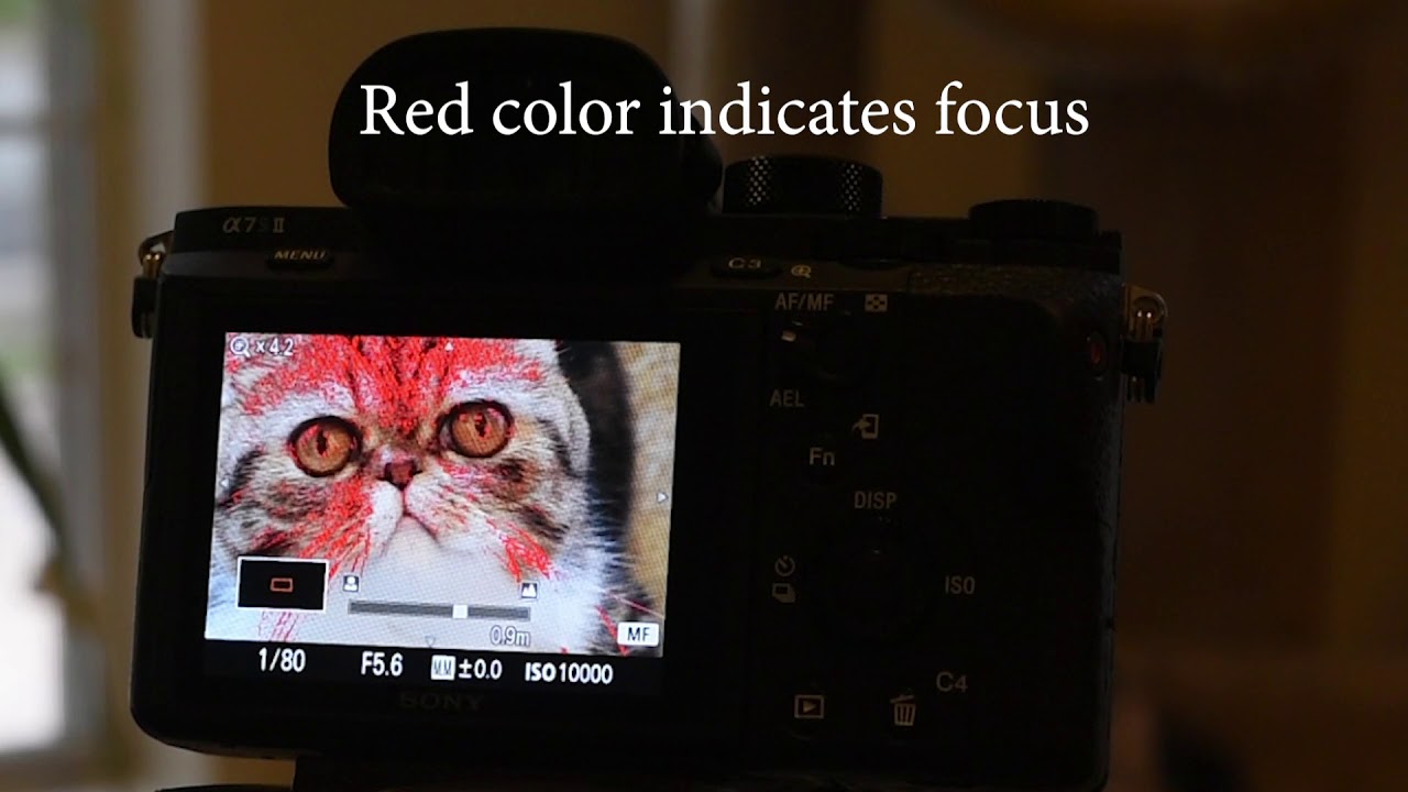 Sony A7sII Focus Peaking Test - YouTube