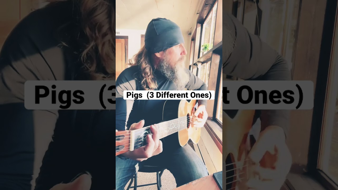 Pigs Three Different Ones Chords