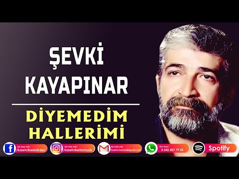 Şevki Kayapınar - DİYEMEDİM HALLERİMİ